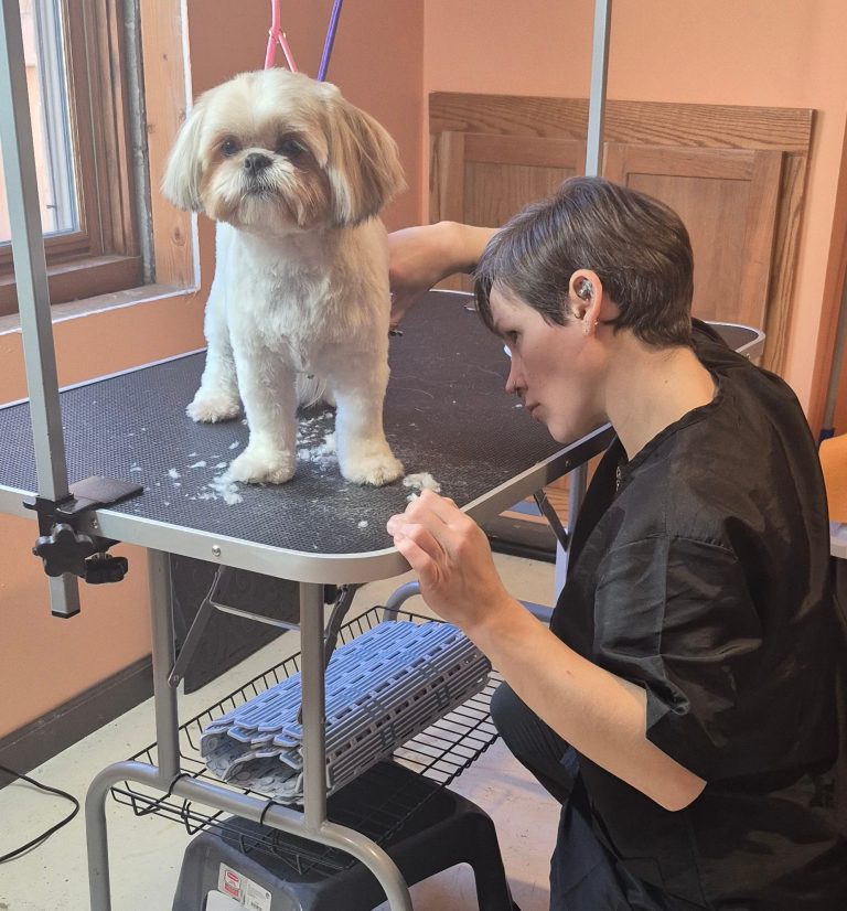 About Us – The Pretty Pup